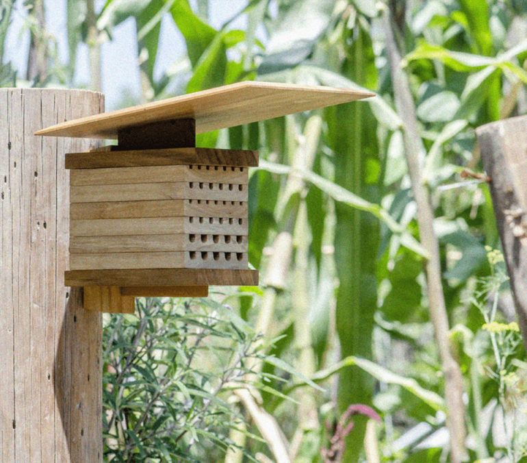 Refugio I Diseño para la regeneración ecológica