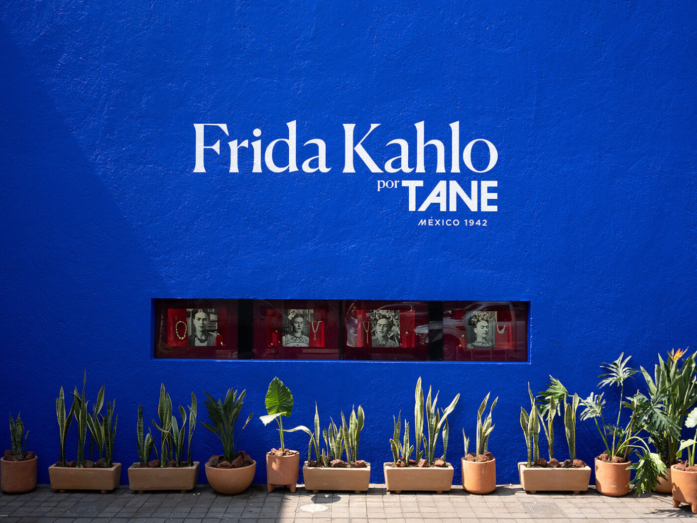 Mazaryk amanece de Azul Colonial | Grid Magazine